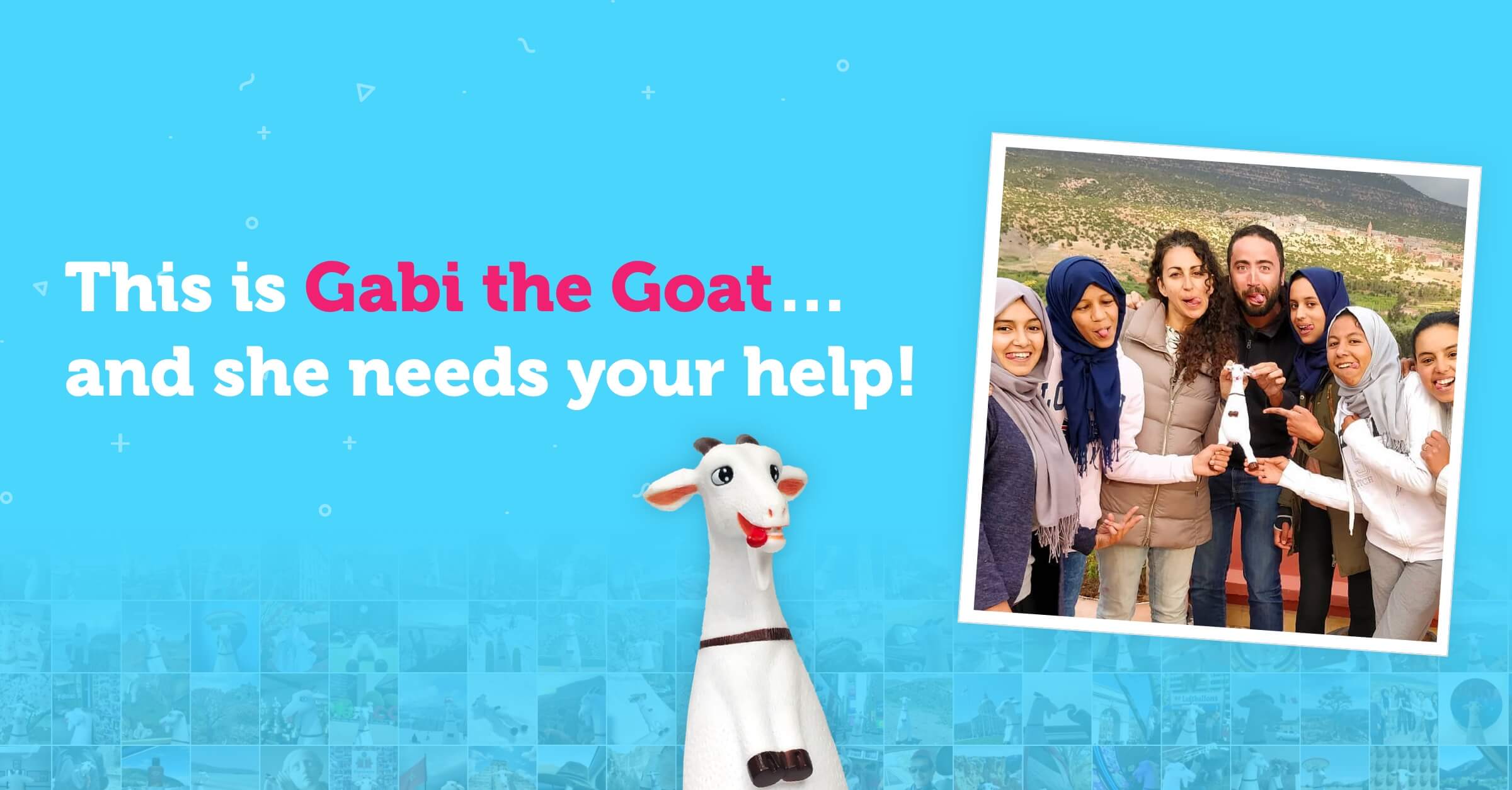 Gabi the Goat: The squeaky goat toy with social impact